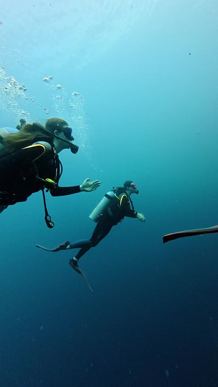Moalboal — dive the reefs in Filipino paradise – Your Friends Are Boring